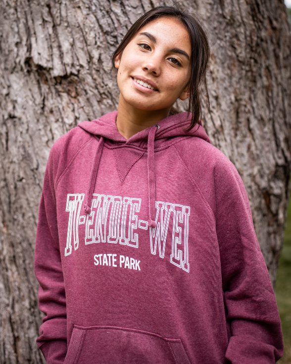 Tu-Endie-Wei State Park Hoodie – West Virginia State Parks