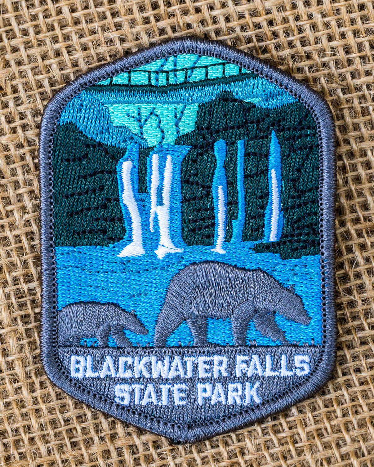 Blackwater Falls State Park Collector's Bear Edition Patch – West ...